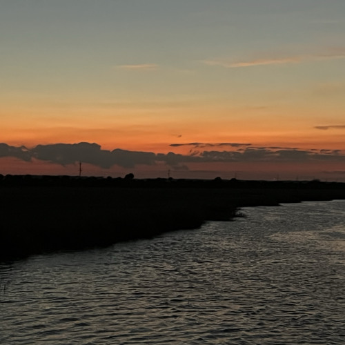 Stream Miss You More by Ophelia Rising | Listen online for free on ...