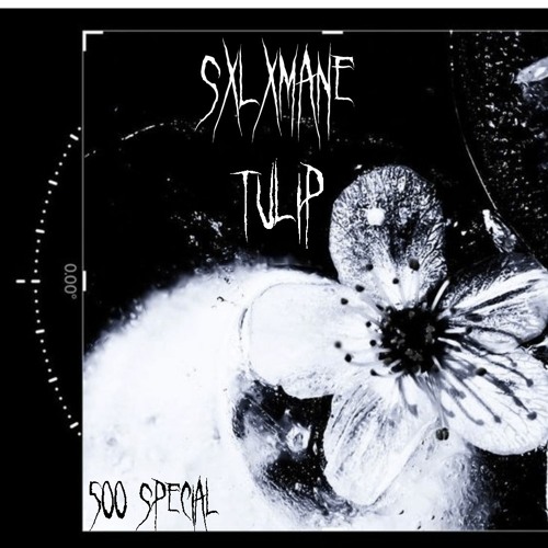Stream TULIP [500 FOLLOW SPECIAL] by SXLXMANE | Listen online for free ...