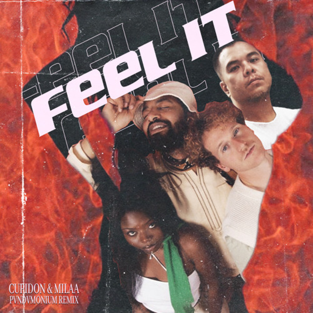 Stream FEEL IT - Cupidon & Milaa (MXTN.REMIX) by Maxtone Tahiti ...