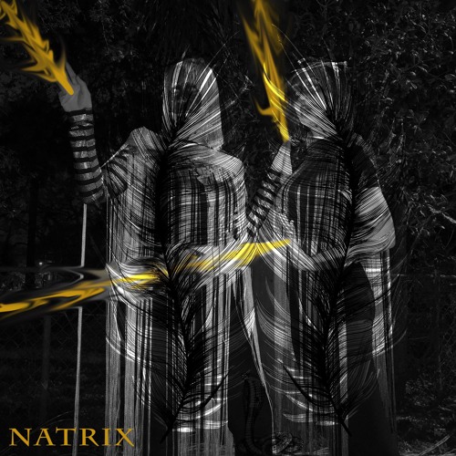 Stream 'In the Wilderness' By Natrix, 2023 by Project Natrix | Listen online for free on SoundCloud