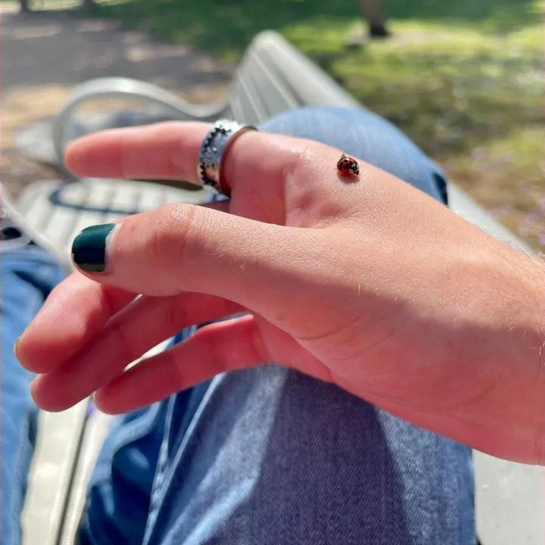 Stream The Bug Collector - FULL Ben Scott instrumental by Some Nerd ...