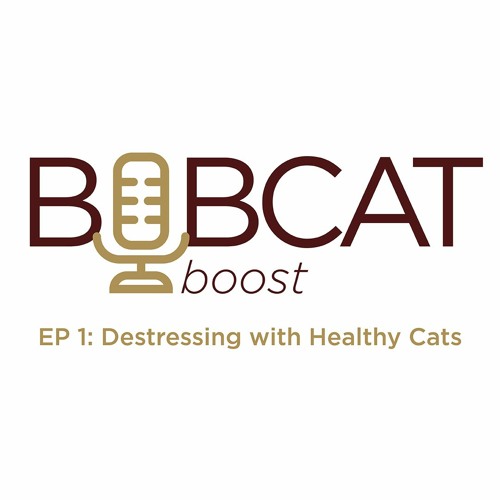 Stream episode Destressing with Healthy Cats by Bobcat Boost podcast ...