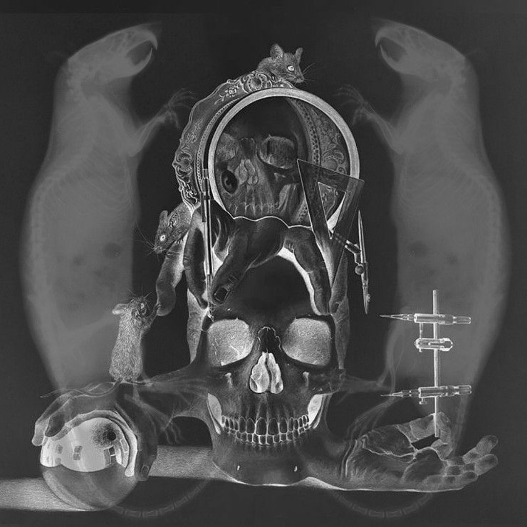 Stream 3RD DEGREE by Yung Xotic | Listen online for free on SoundCloud