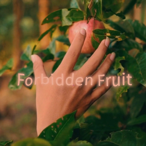 Stream FREE Drake Type Beat - Forbidden Fruit by Ludi Professor ...