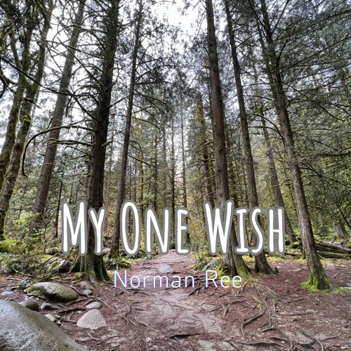 Stream Wide Of The Belly by Norman Ree | Listen online for free on ...