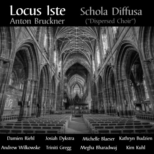 Stream damienriehl | Listen to Schola Diffusa playlist online for free ...