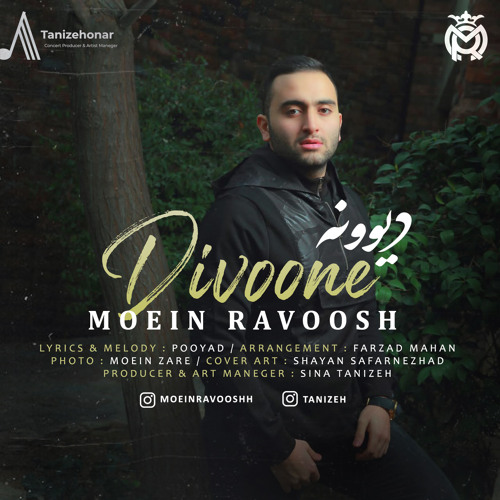 Stream Moein Ravoosh - Divooneh | OFFICIAL TRACK by Music DB | Listen ...