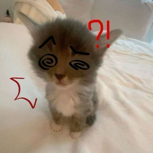 Stream when the penjamin finally hit by craiggerot | Listen online for ...