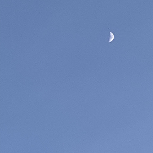 Stream Alien heart by White Rabbit | Listen online for free on SoundCloud