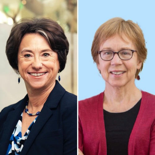 Stream episode Gale M. Sinatra & Barbara K. Hofer by APA Division 15 ...