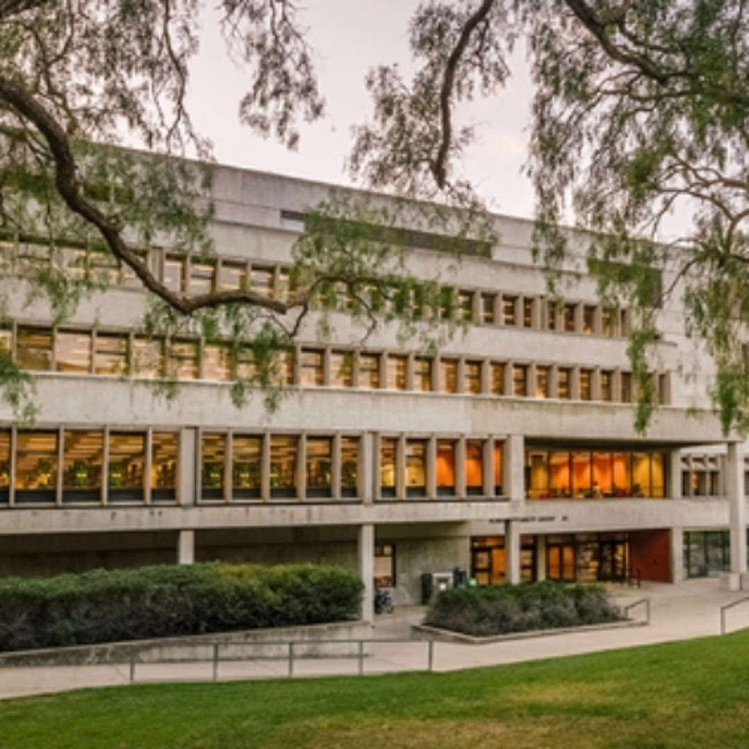 Stream Kennedy Library Sophia Moreno by Jour 333 Online | Listen online for free on SoundCloud