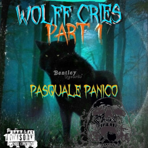 Stream WoLFF CrieS - AP* RIP B WOLFF by Pasquale Panico | Listen online for free on SoundCloud