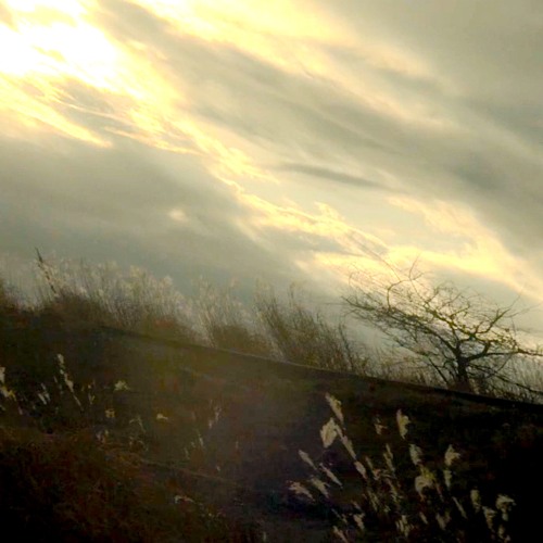 Stream SAYONARA (POEM) by Hiroyuki Onogawa | Listen online for free on ...