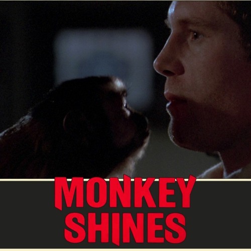 Stream episode Monster Mondays #211 - Monkey Shines by Film Seizure ...