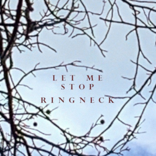 Stream Let Me Stop by Ringneck | Listen online for free on SoundCloud