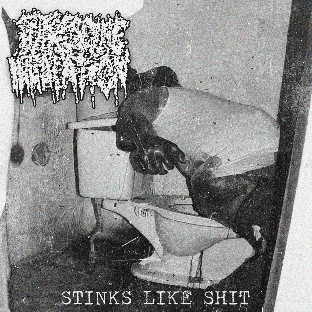 Stream DIEOCLES | Listen to PUTRESCINE INHALATION - STINKS LIKE SHIT ...