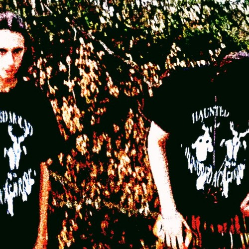 Stream CLEAVER VALLEY MIX by RAYGUNN GRAVE GIRL 🏳️‍⚧️ 🪓 | Listen online ...