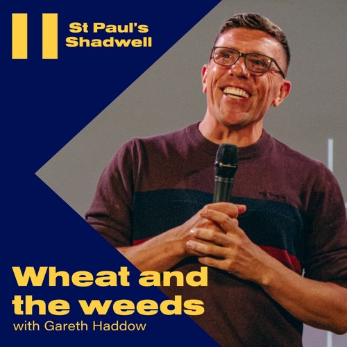 Stream Wheat And The Weeds - Gareth Haddow - St Paul's Shadwell by St ...