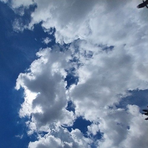 Stream Lungs And Tongues by Innate Revival | Listen online for free on ...