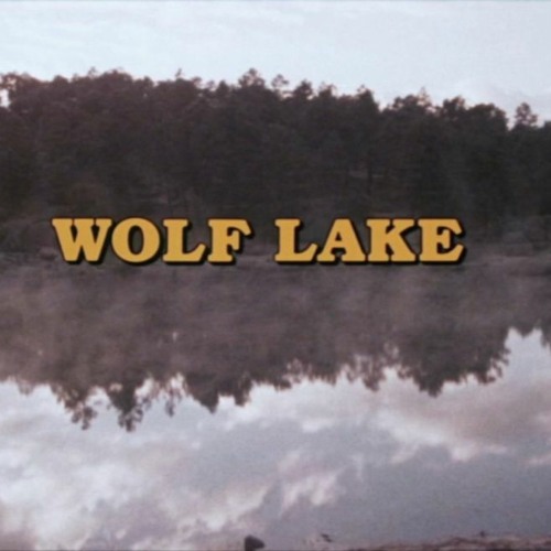 Stream Episode 537 By Chances With Wolves Listen Online For Free On