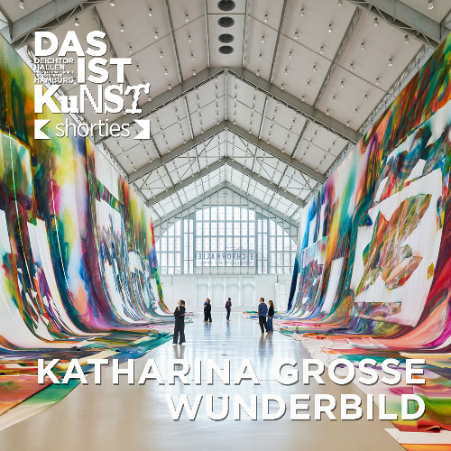 Stream episode DAS IST KUNST Shorty: Katharina Grosse – Wunderbild by Deichtorhallen Hamburg ...