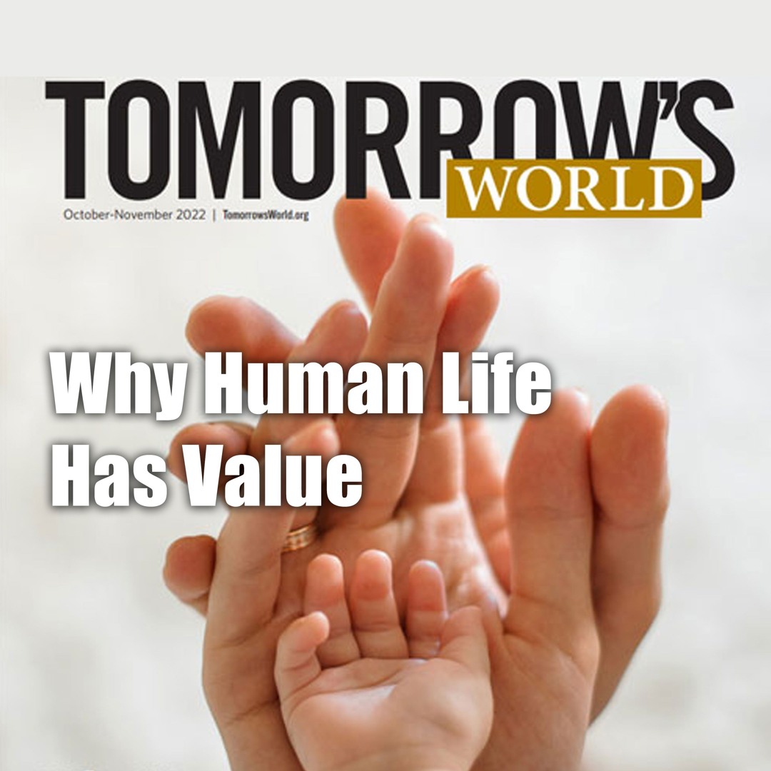Stream What Is the Value of Human Life? - Wallace G. Smith - (October ...