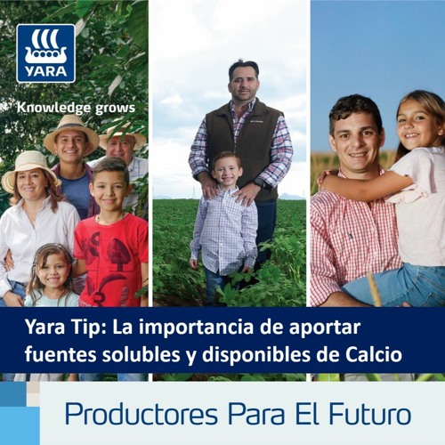 Stream Yara Tip - La importancia de aportar fuentes solubles y ...