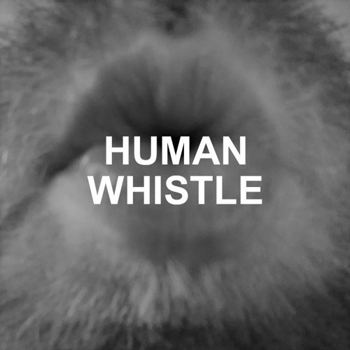 Stream Pianobook | Listen to Human Whistle playlist online for free on ...