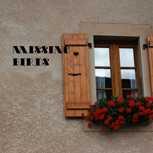 Stream Missing Birds by Scott Burditt | Listen online for free on ...