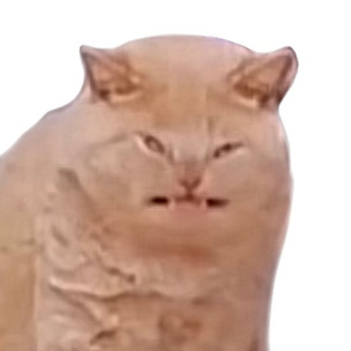 Stream weelow | Listen to Willow's corner. playlist online for free on ...