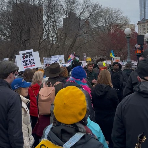 Stream Boston's "hands-off" protest by Vivienne Felber | Listen online ...