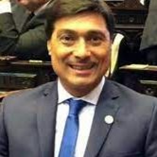 Stream Pablo Ansaloni, diputado electo de La Libertad Avanza. by ...