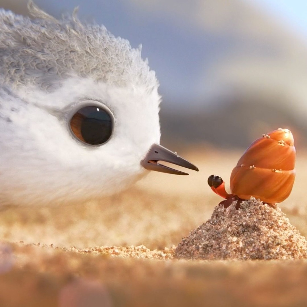 Stream WISK | Listen to Piper (Disney Original Short Animation Music ...