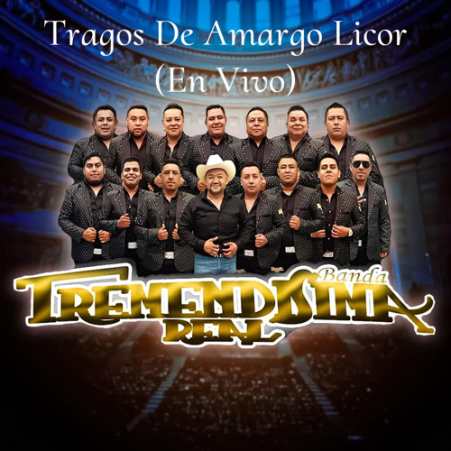 Stream Tragos De Amargo Licor (En Vivo) by Banda Tremendísima Real | Listen online for free on ...