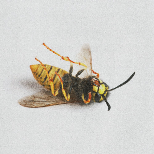 MELOCCINO'S *PURE* KIT! - Payhip