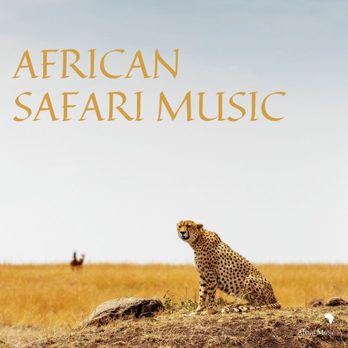 Stream Africa by African Music Experience | Listen online for free on ...