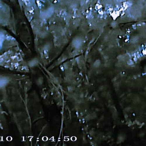 Stream I wish i was cool like that one tv show or something051125.WAV ...