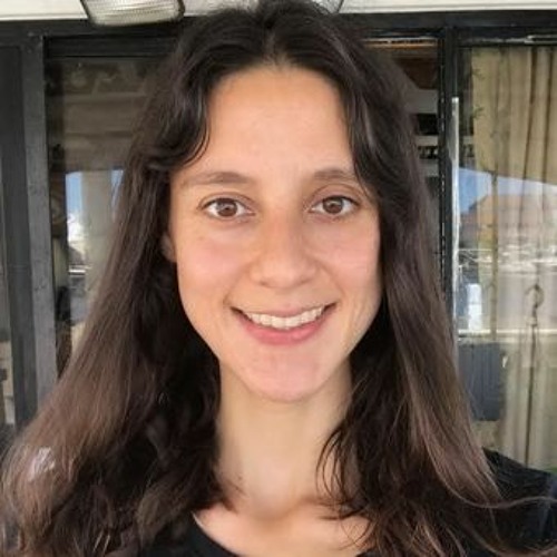 Stream Interview With Kate Leon From Citizen Action Of New York On NY ...