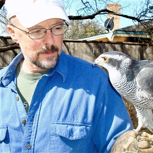 Stream episode Episode 48: Appreciating Raptors by Rolling Plains Quail ...