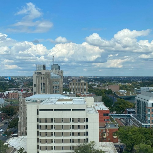 Stream episode Sound Collage: View Outside My Dorm Window by Cassie ...
