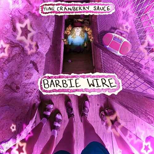 Stream Yung Cranberry Sauce | Listen to Barbie Wire playlist online for ...
