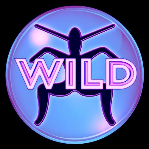 Stream Wild Megamix (Preview) by DJZee | Listen online for free on ...