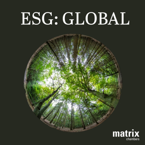 Stream episode ESG: Global - The CSDDD: an Omnibust? by Matrix Podcasts ...