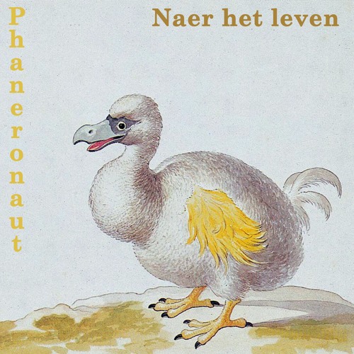 Stream Het Einde Van Een Droom by Phaneronaut | Listen online for free ... Stream Het Einde Van Een Droom by Phaneronaut | Listen online for free ...