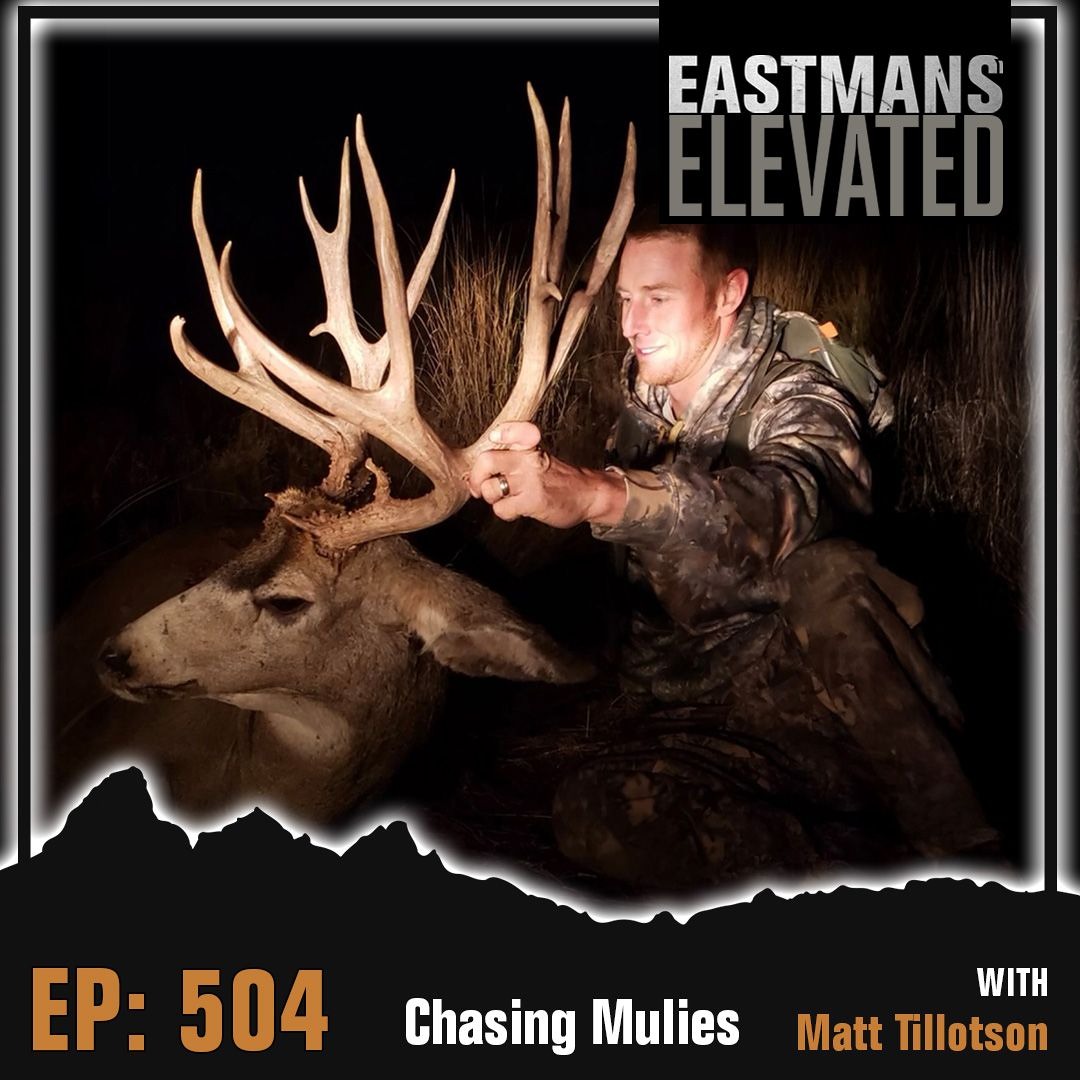 Stream episode Episode 504: Chasing Mulies With Matt Tillotson by ...