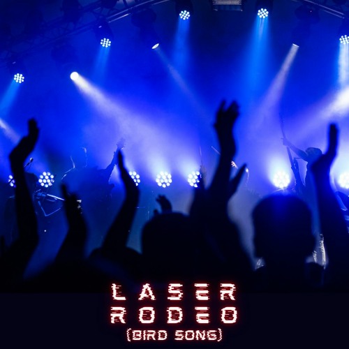 Stream Laser Rodeo(bird song) by Aka Houdini | Listen online for free ...