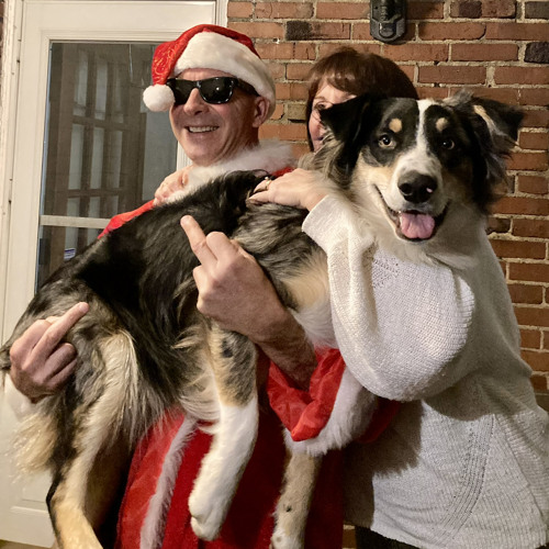 Stream Merry Doggy Christmas! by Fixx Invictus | Listen online for free ...