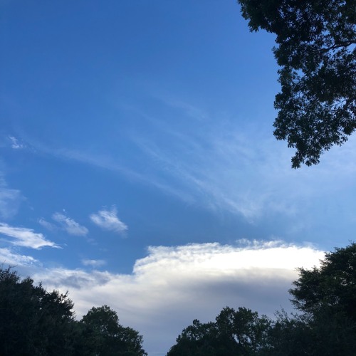 Stream You Broke Me First - Tate Mcrae by Alexa | Listen online for ...