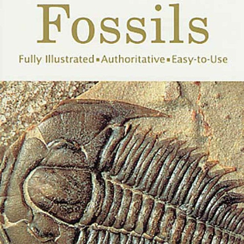 Stream episode [PDF] Fossils: A Fully Illustrated, Authoritative and Easy-to-Use Guide (A Gold ...