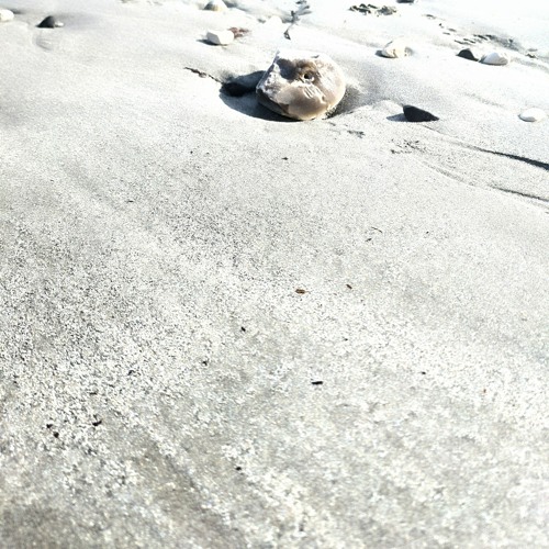 Stream Home by Greg Rolfe | Listen online for free on SoundCloud